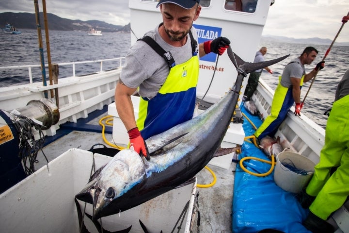 JC Mackintosh, pesca sostenible del atún rojo en Tarifa (Cádiz) | Guía ...