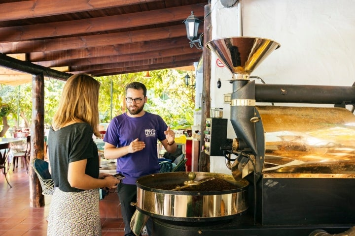 ‘Finca La Laja’: El cafetal ‘made in’ Europa | Guía Repsol