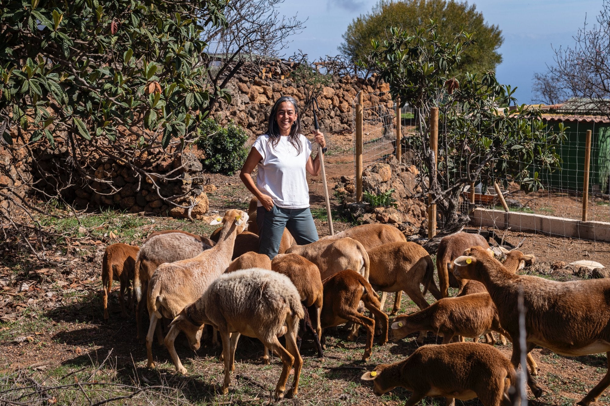 6 mujeres rurales que impulsan el cambio en Tenerife | Guía Repsol