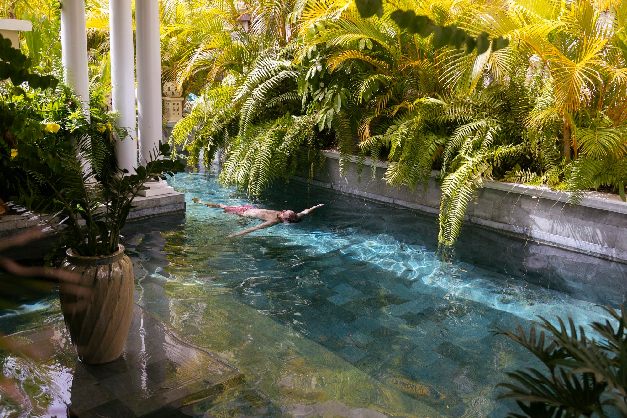 Un lujoso viaje de aroma tropical en el sur de Tenerife | Guía Repsol