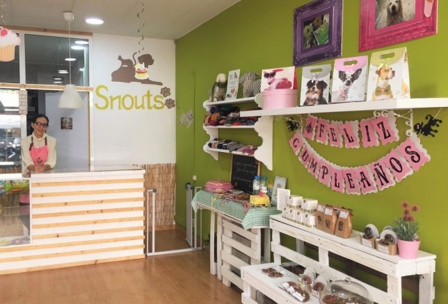 Paseo con perro por los Jardines de Sabatini (Madrid) | Guía Repsol