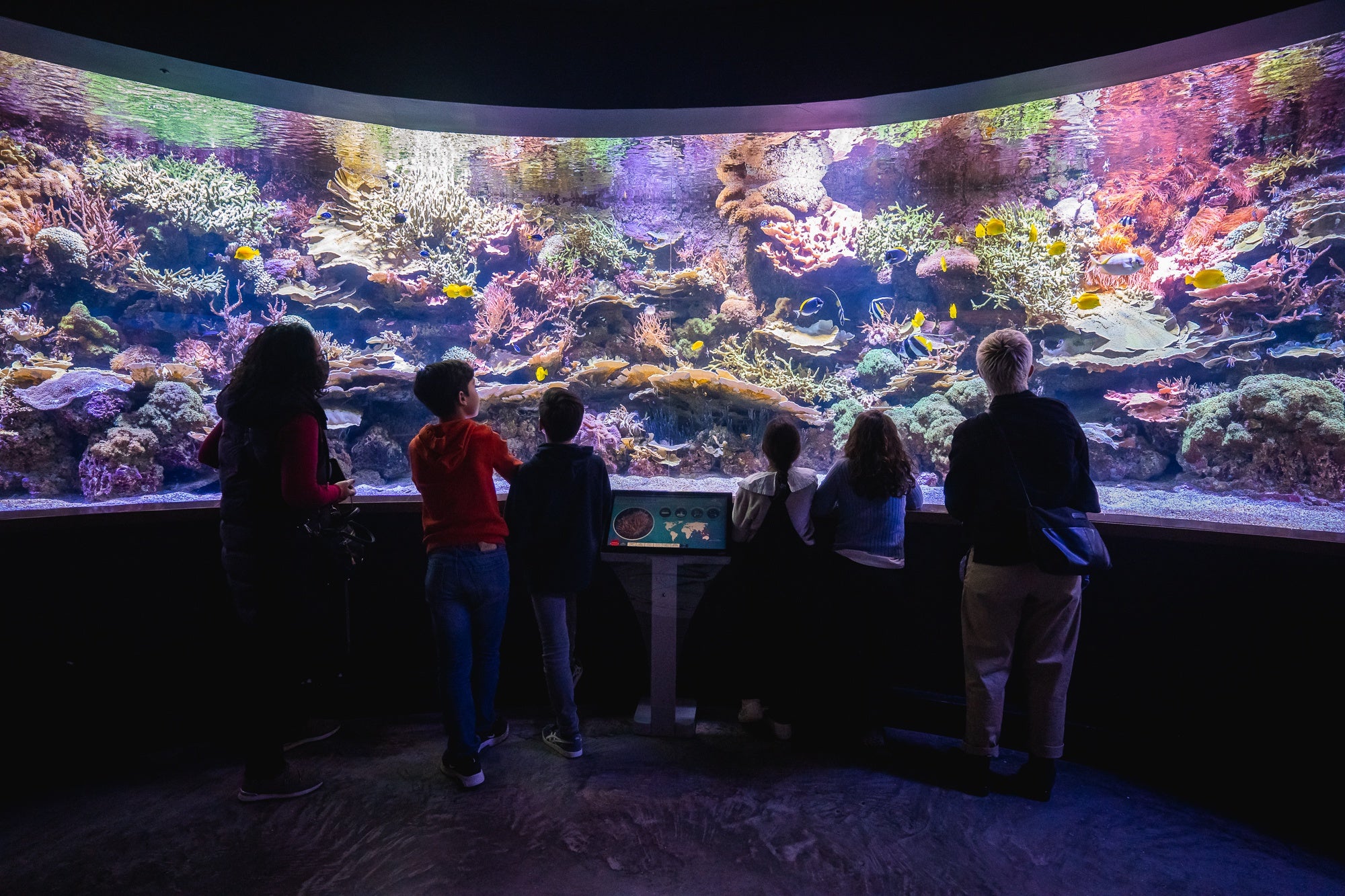 El Acuario de Sevilla, una aventura entre océanos | Guía Repsol