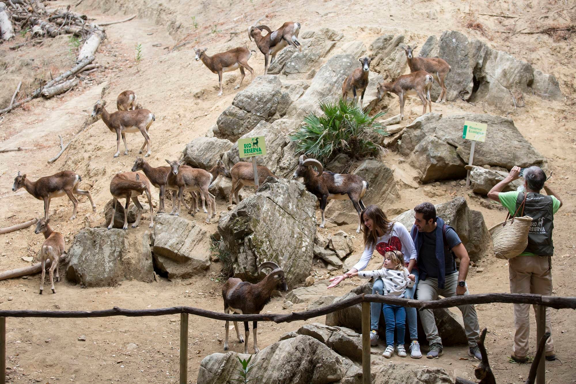 2023 4x4 Adventure Hiking And Wildlife In Eco Reserva Ojen