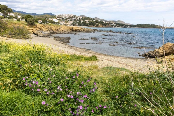 Qué ver y hacer en Llançà (Costa Brava, Girona) | Guía Repsol