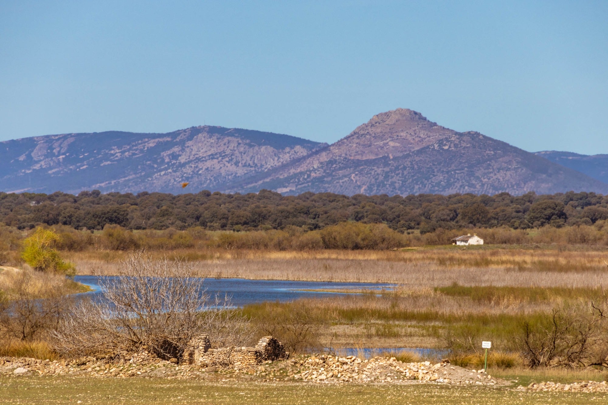 Ruta en bici por los alrededores de Las Tablas de Daimiel (Ciudad Real ...