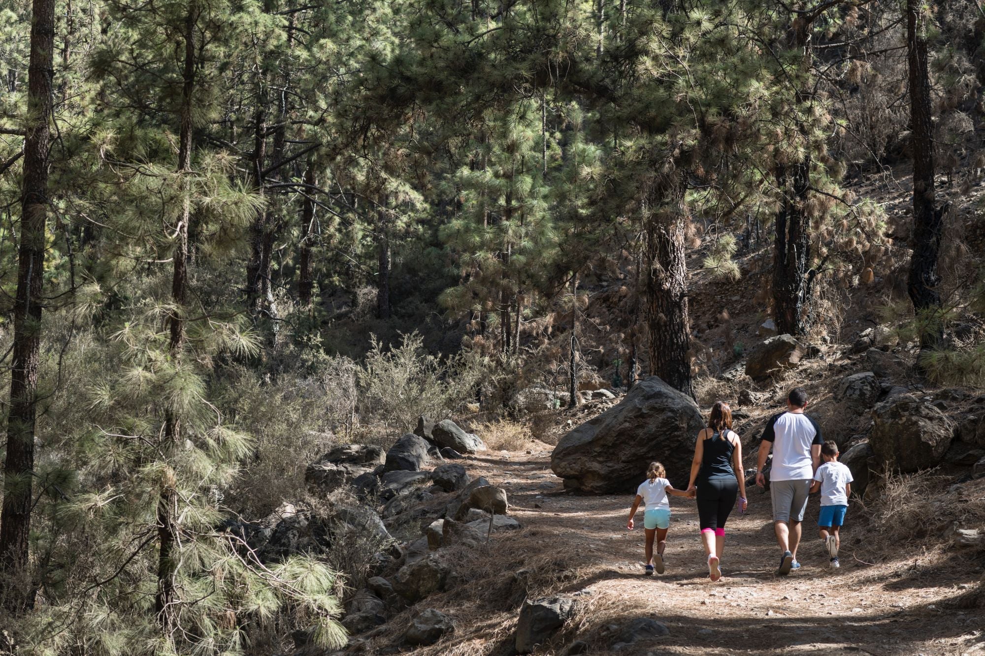 Qué ver y hacer en Vilaflor de Chasna (Tenerife) | Guía Repsol