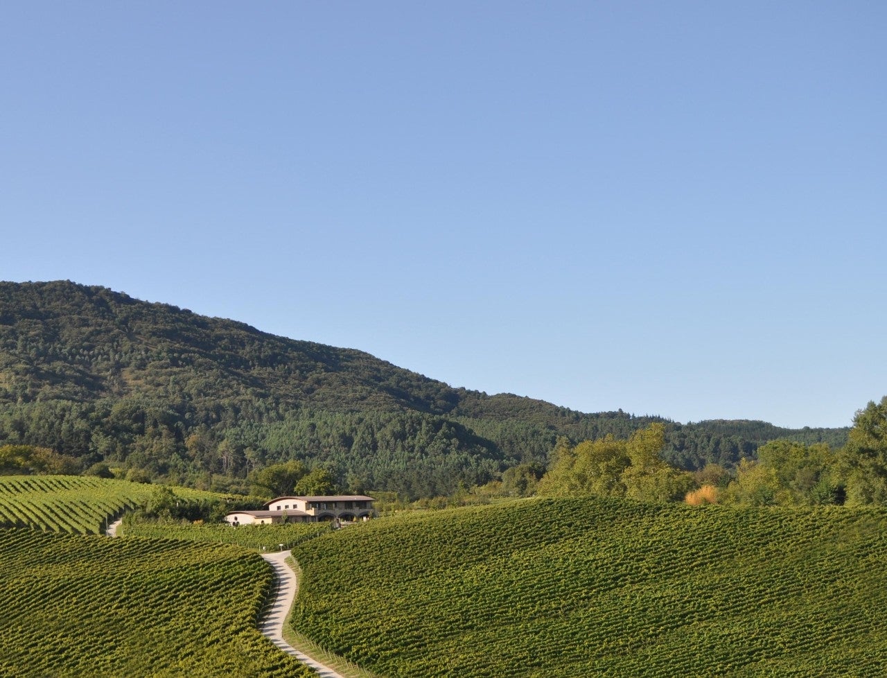 Restaurante Sutan en Hondarribia | Guía Repsol