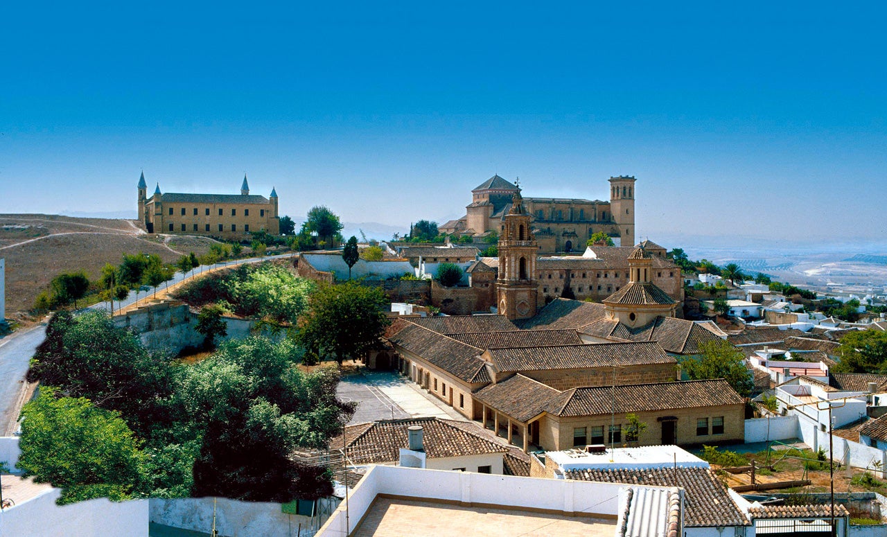 Osuna (Sevilla) - Planes e información turística | Guía Repsol