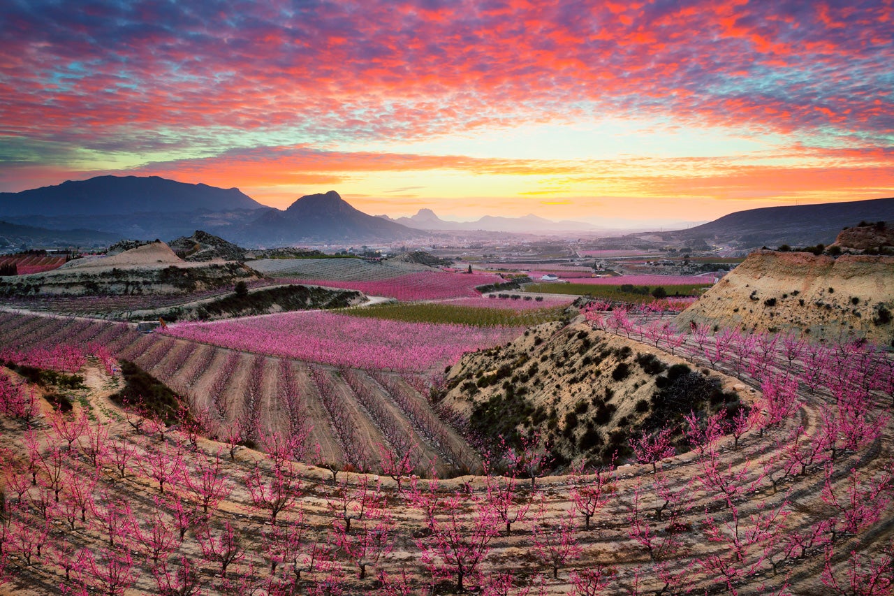 Cieza (Murcia) - Planes e información turística | Guía Repsol