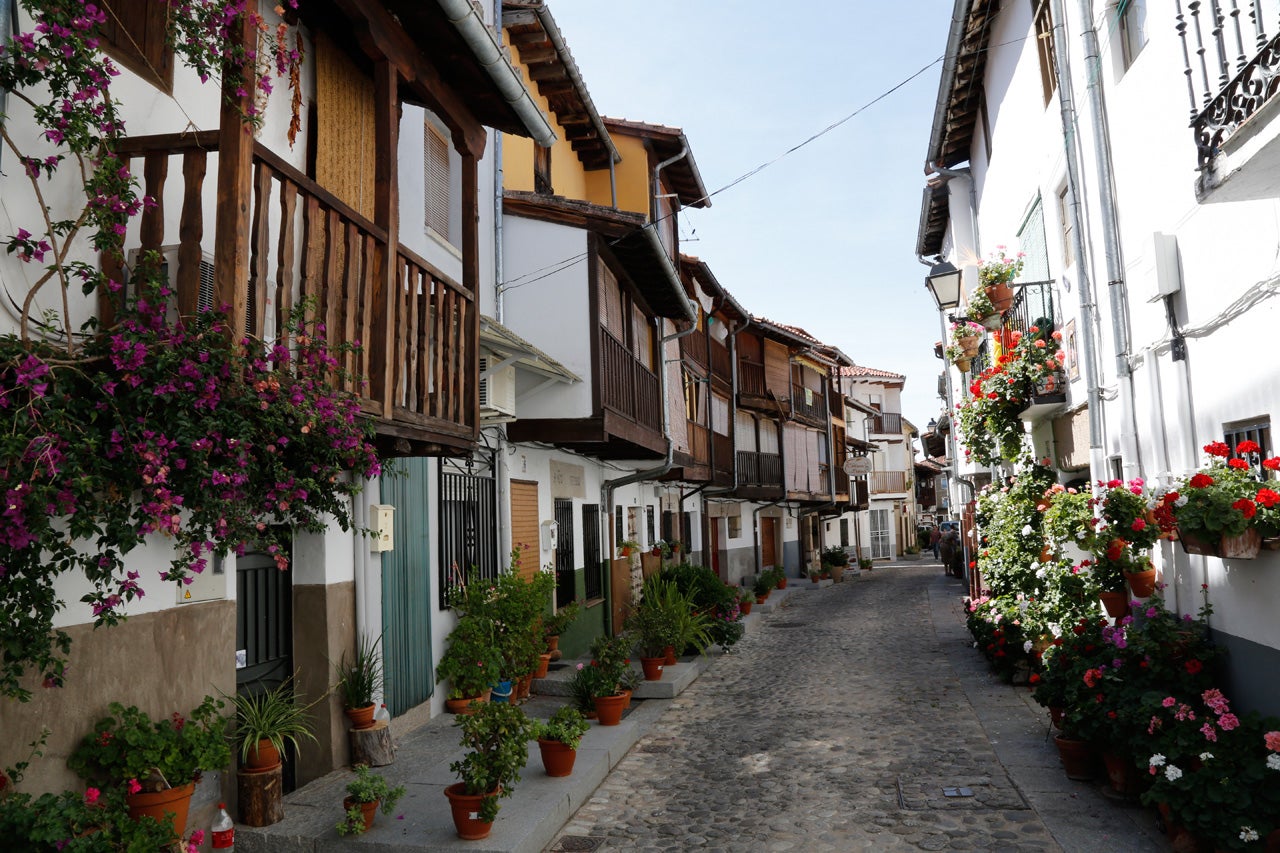 Candeleda (Ávila) - Planes e información turística | Guía Repsol