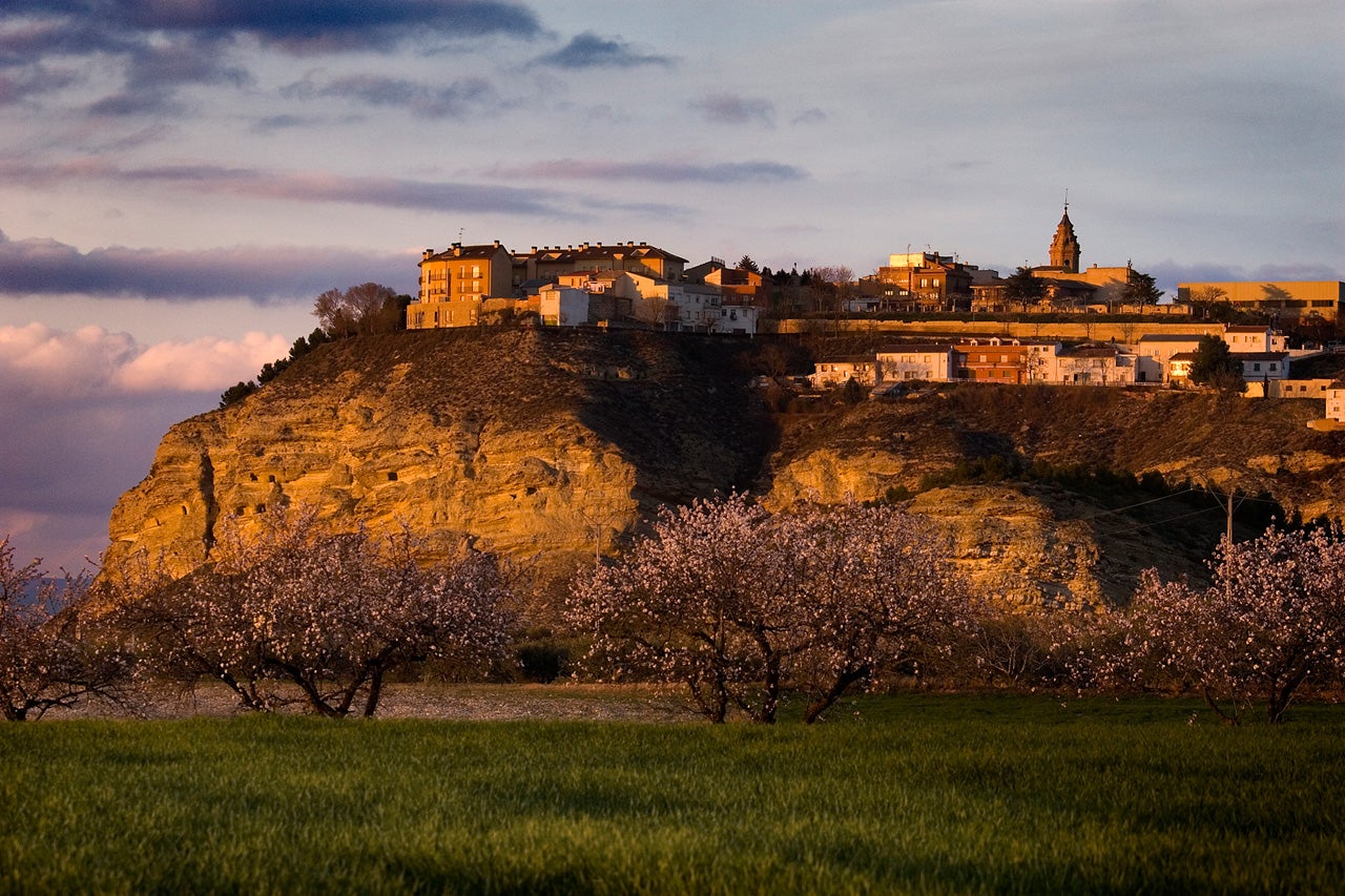 Lerín (Navarra) - Planes e información turística | Guía Repsol
