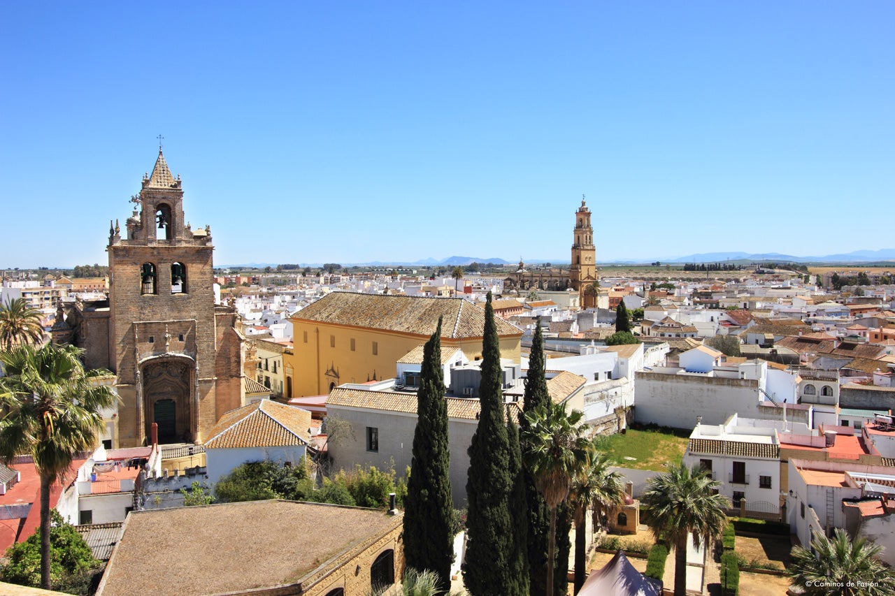 Utrera (Sevilla) - Planes e información turística | Guía Repsol