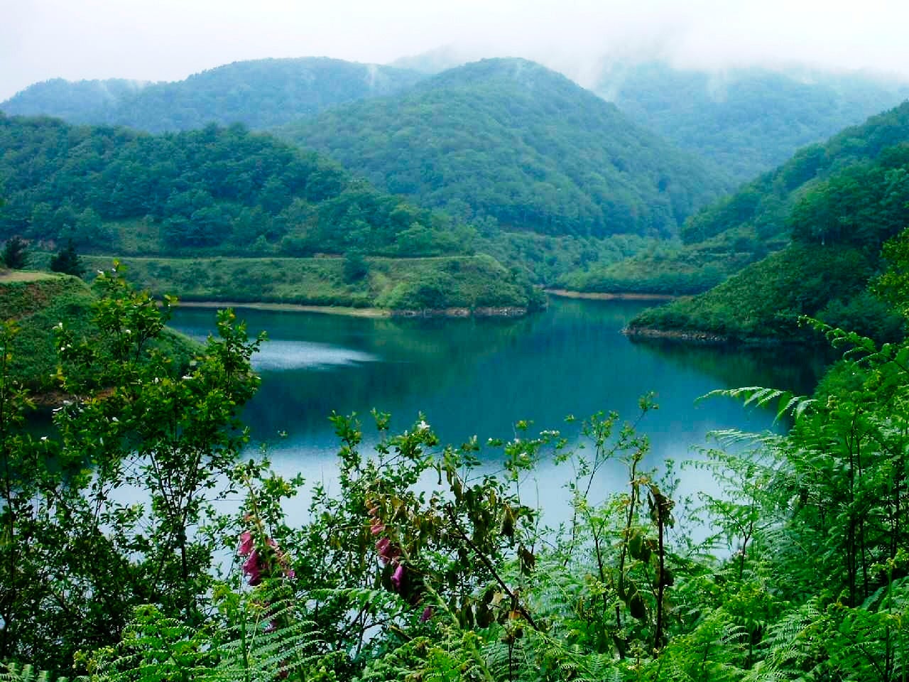 Errenteria (Gipuzkoa/Guipúzcoa) - Planes e información turística | Guía ...