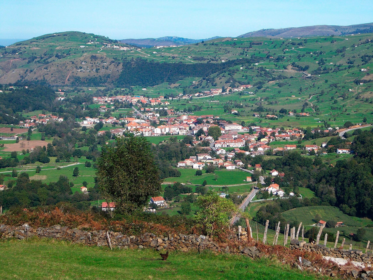 Selaya (Cantabria) - Planes e información turística | Guía Repsol