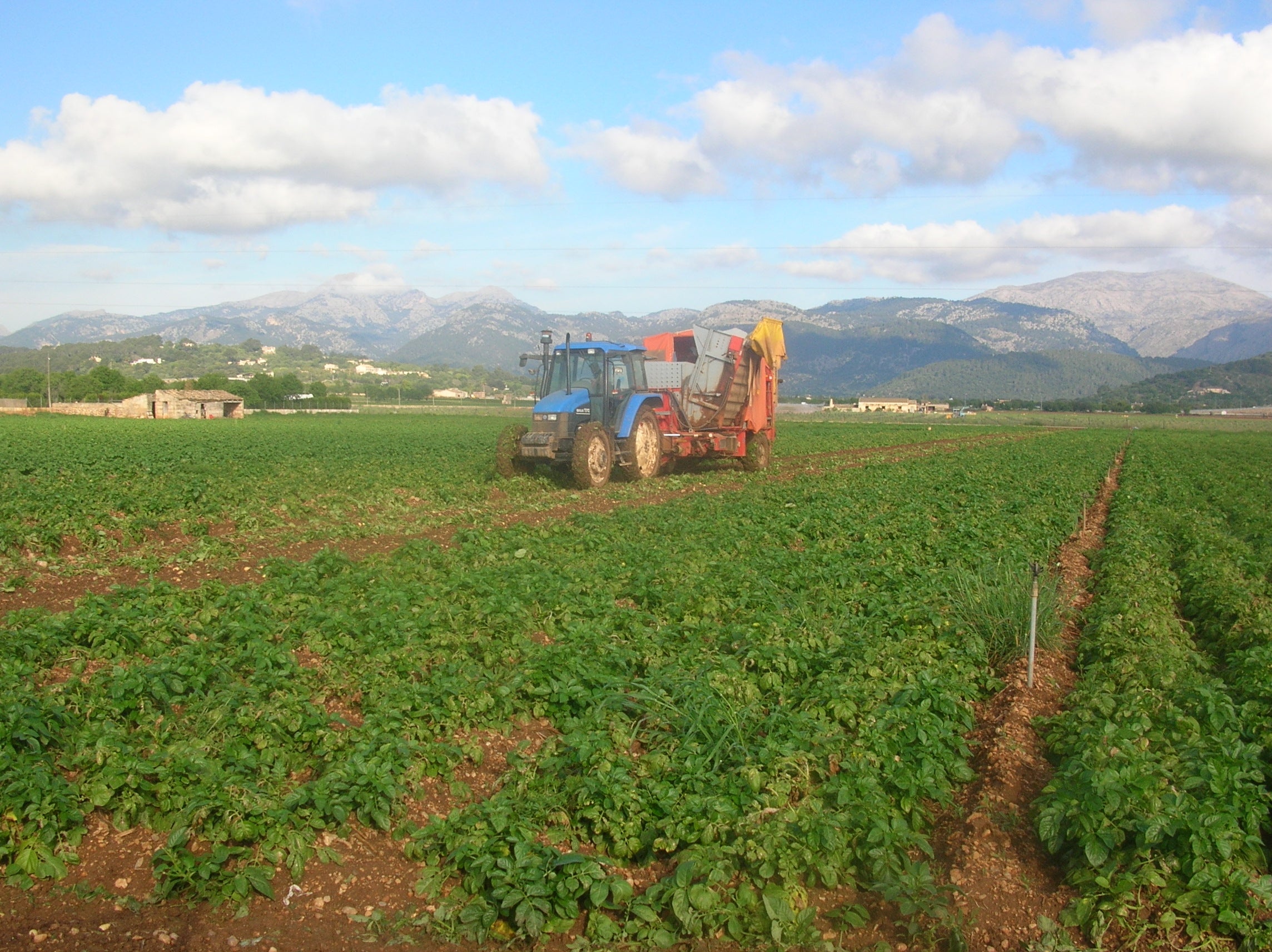 Sa Pobla (Balears/Islas Baleares) - Planes e información turística ...