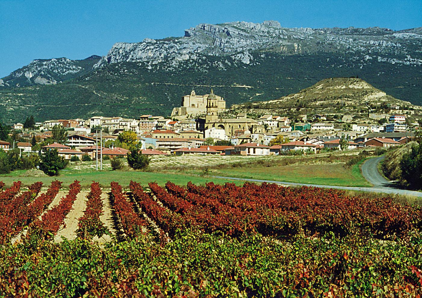 Labastida/Bastida (Araba/Álava) - Planes e información turística | Guía ...