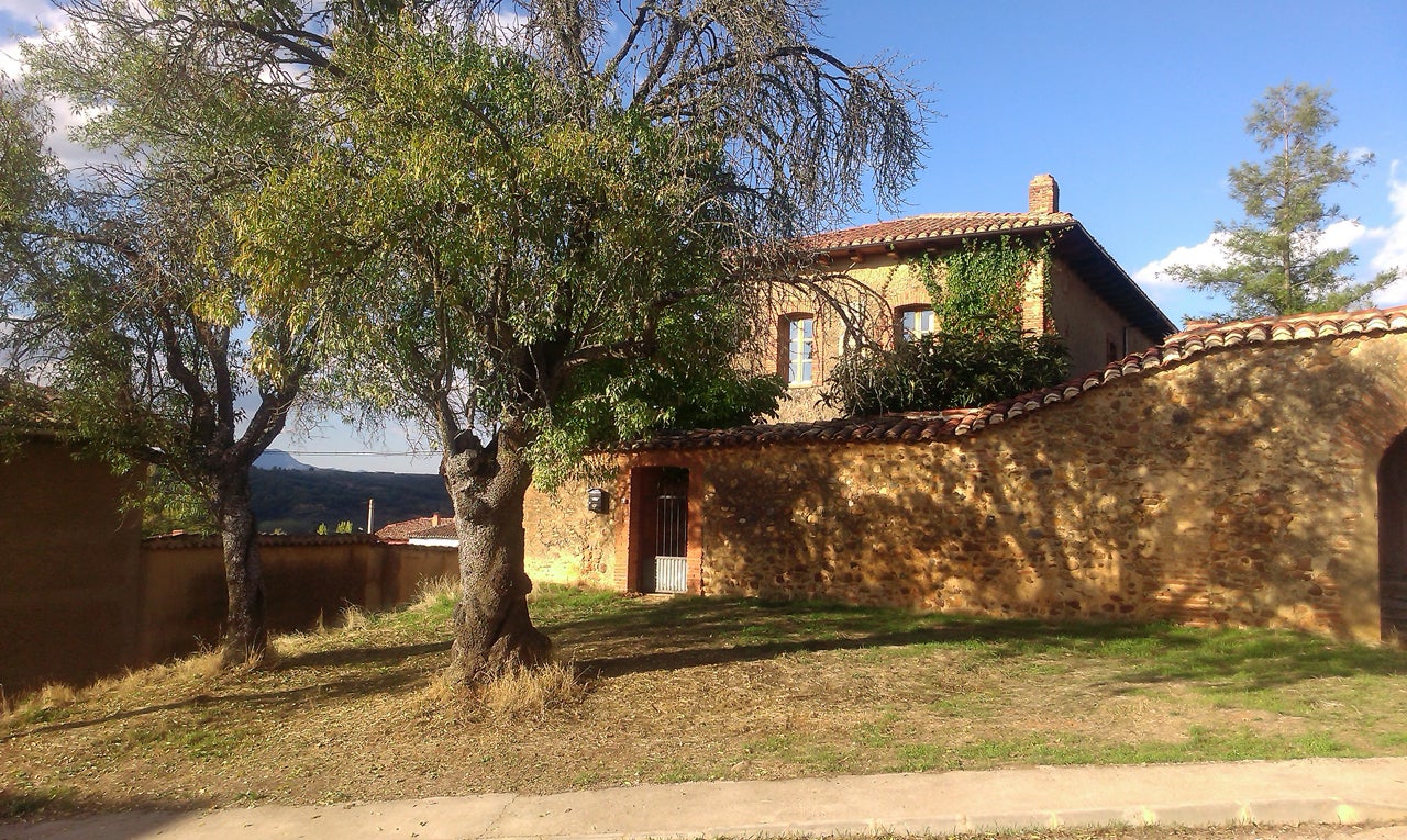 Almanza (León) - Planes e información turística | Guía Repsol